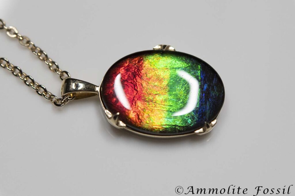 Ammolite Buying Tips - Ammolite Fossil